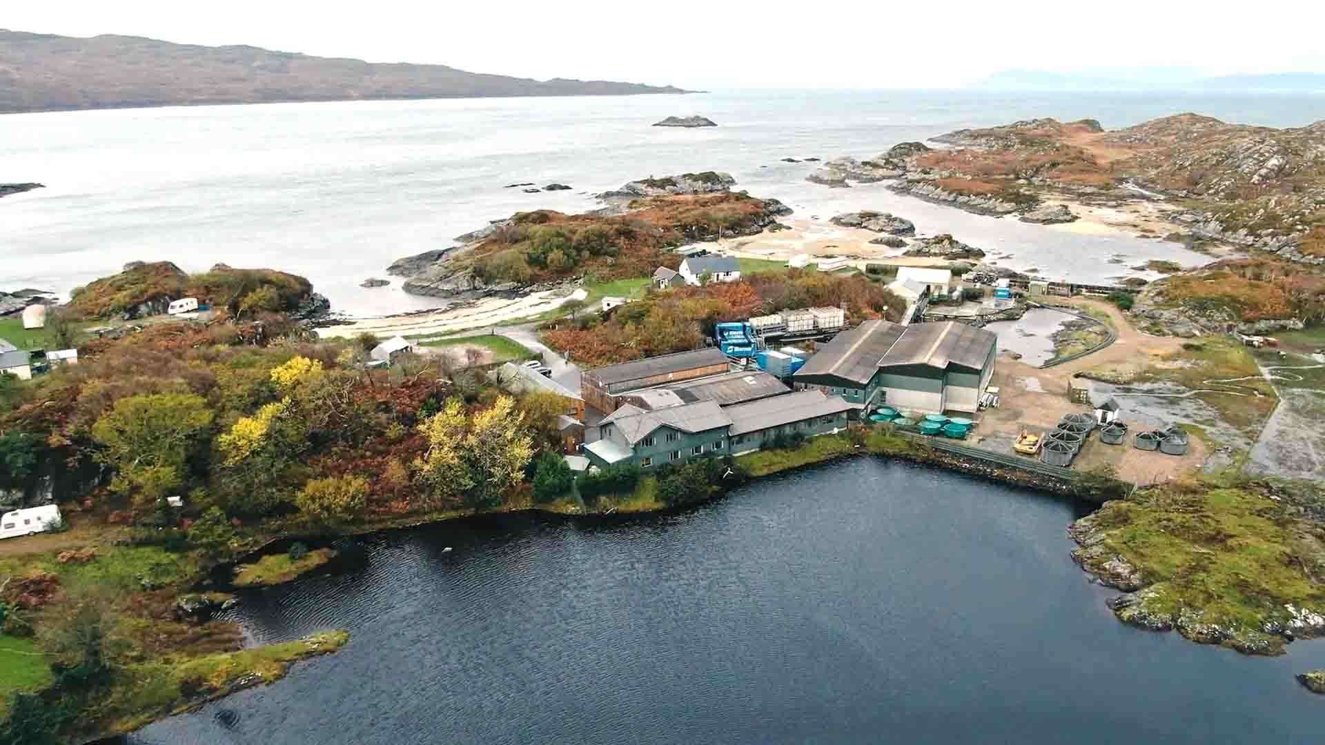 Facilities & Partnerships | Ardtoe | Atlantic Mariculture
