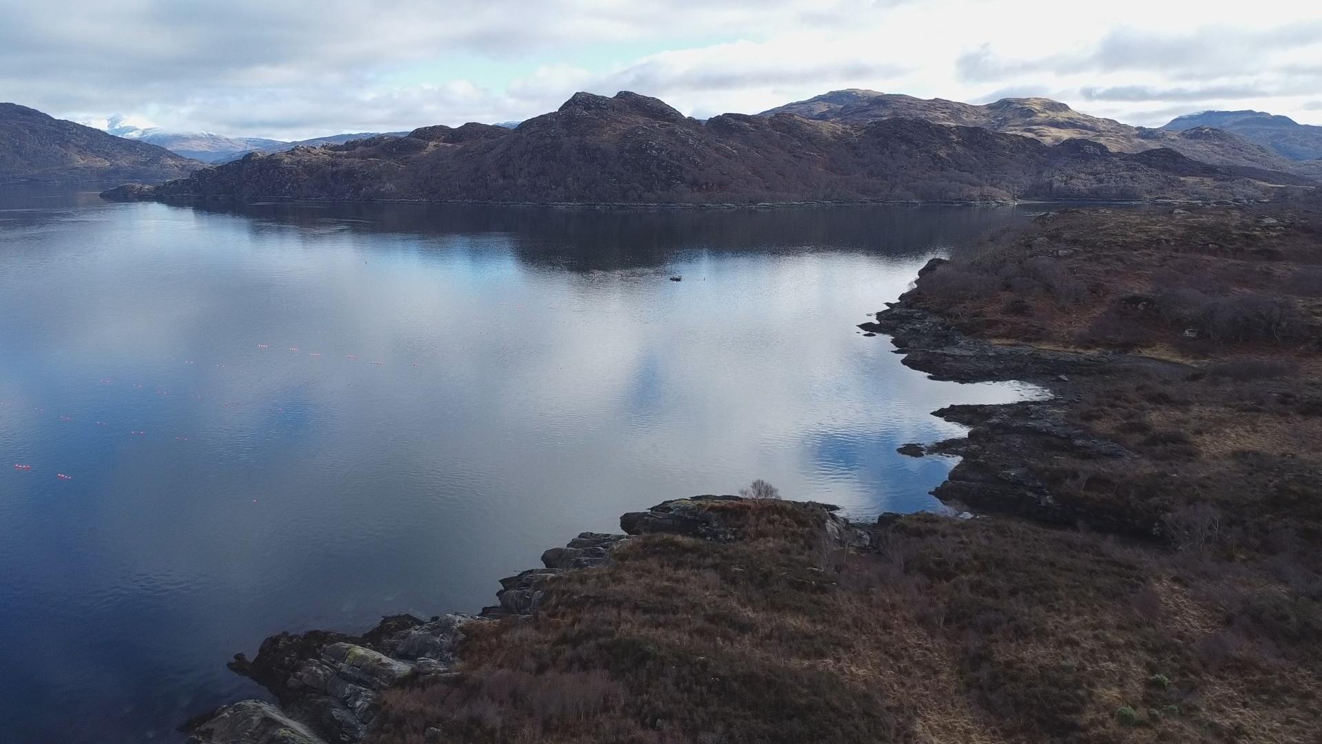 Organic Seaweed & Oyster Farming | Atlantic Mariculture